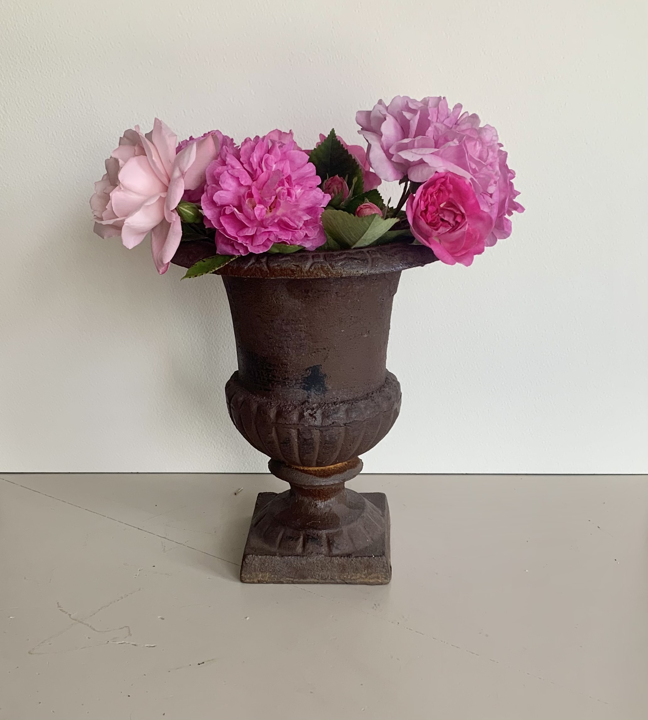 De rouille et de rose – En équilibre sur un fil à la lisière du rêve et ...